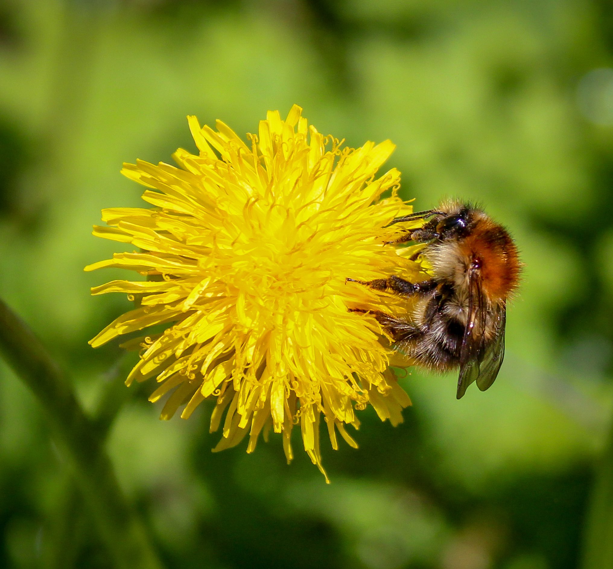 Een graf reserveren - Natuurbegraafplaats Eygelshof